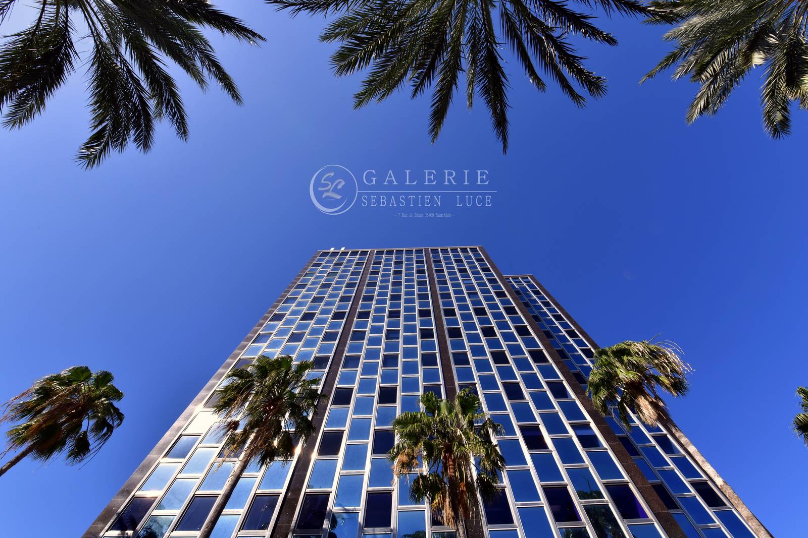 Galerie Sébastien Luce Photographies Bleu Miami